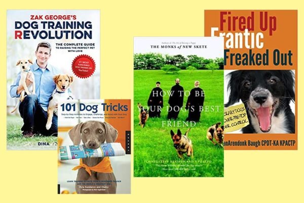 Top Dog Training Books for New Pet Owners